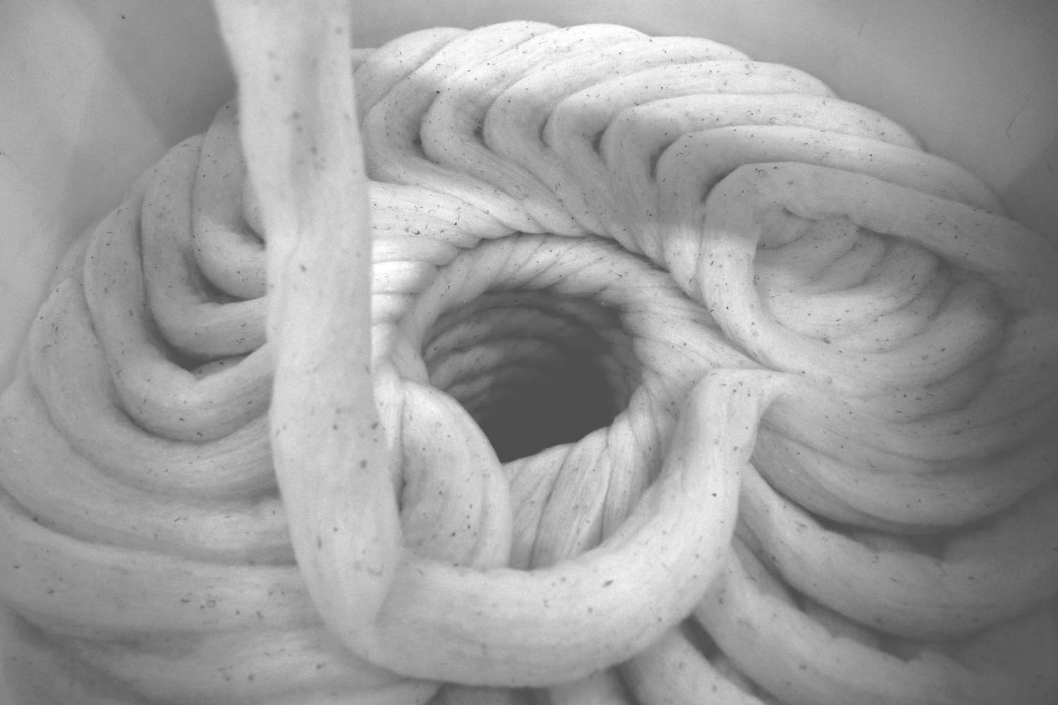 Merino Wool Experts – Toorallie Australia