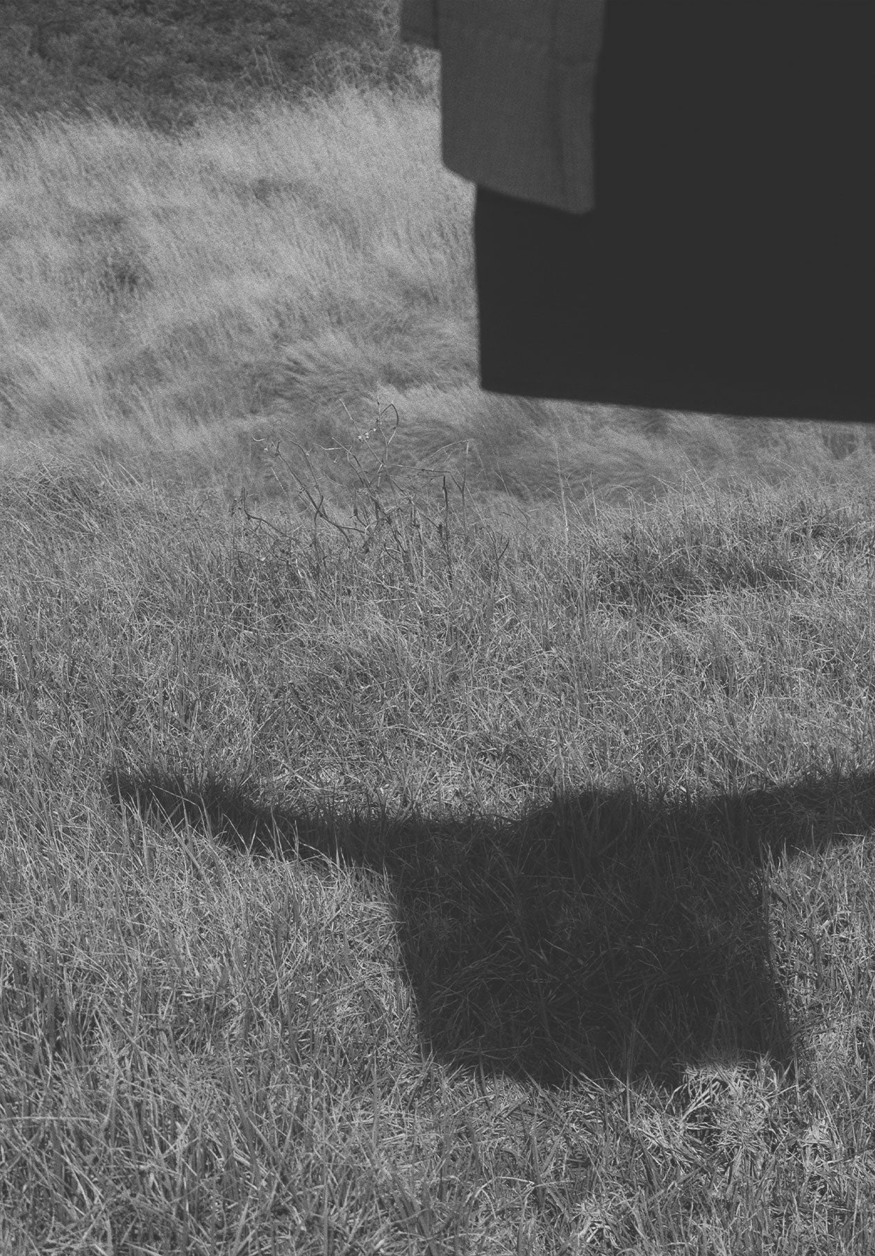 Yingting Collaboration – Toorallie Australia